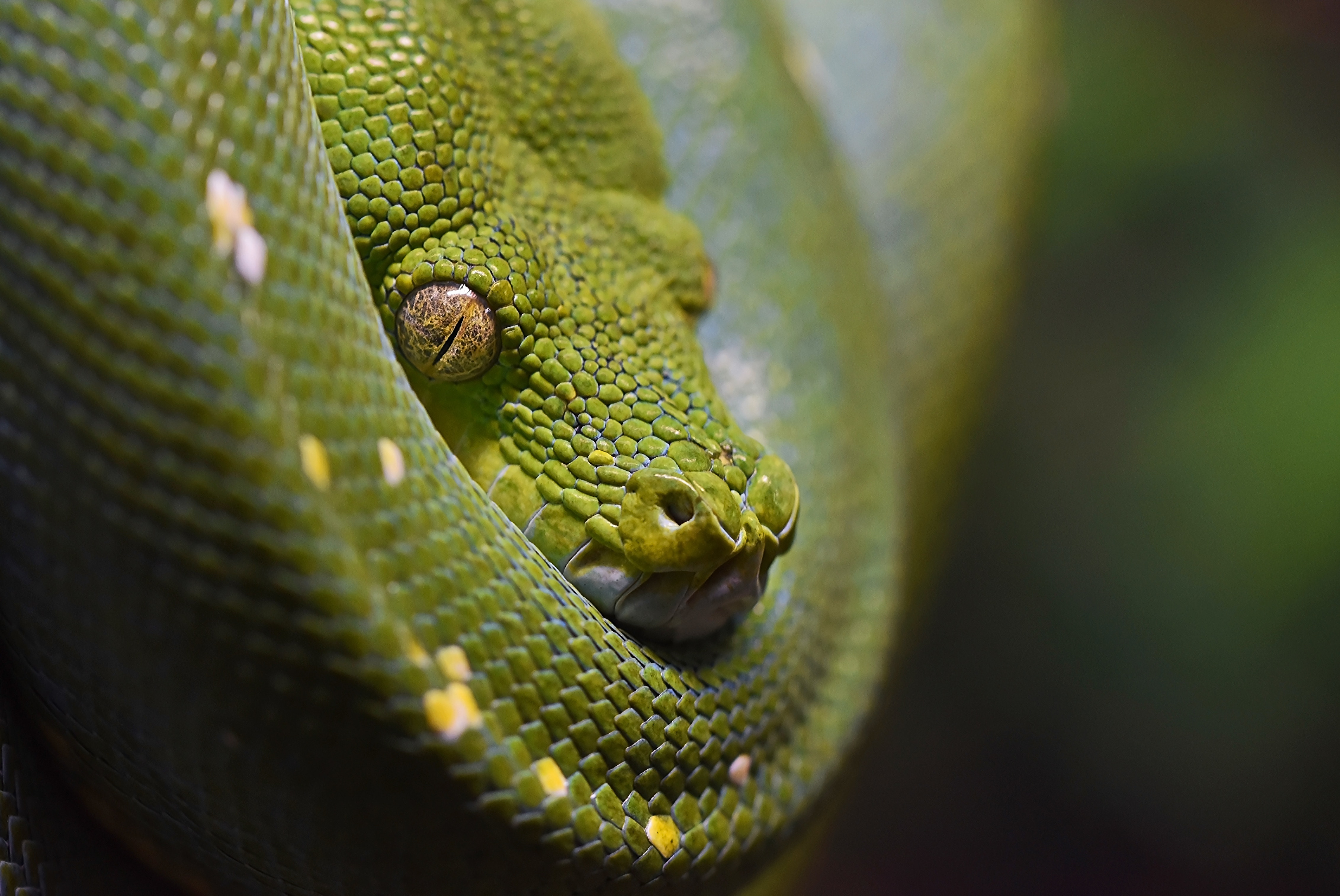 Python Out Of Memory Error Mateusz Grzyb Data Science Machine