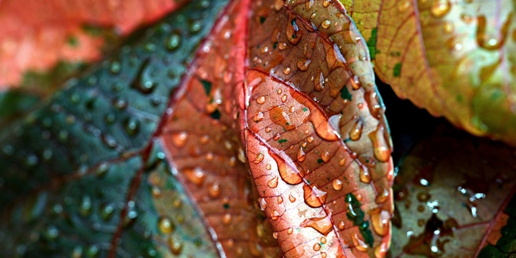 Jak wczytać plik płaski w Python z pomocą biblioteki Pandas?